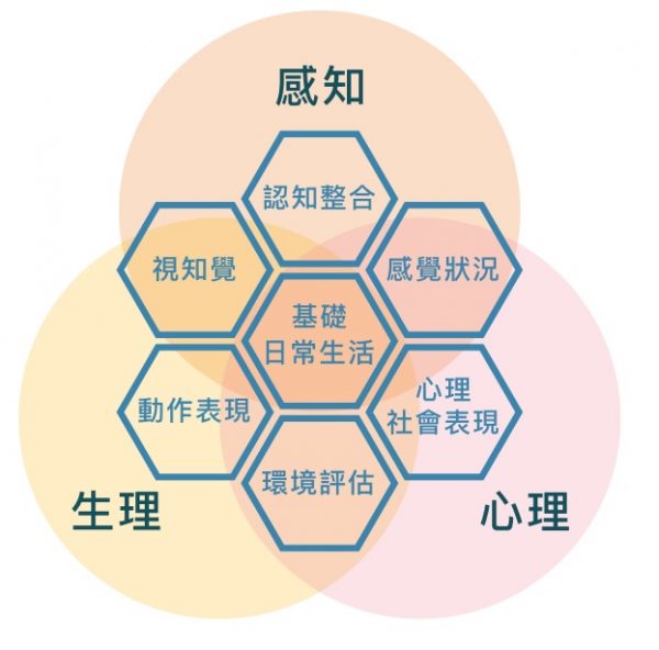 七大類評估 – 盤古銀髮 Lapangu